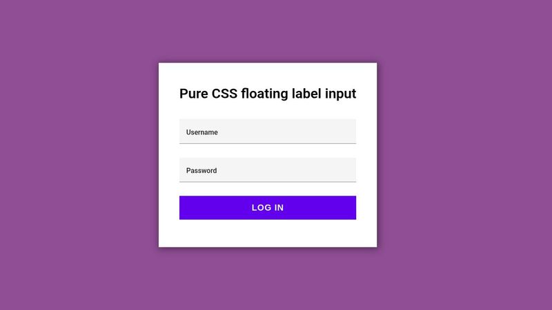 Pure Css Floating Label Input