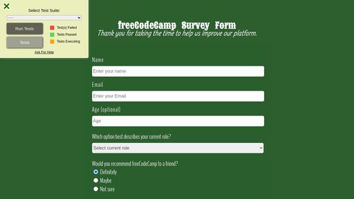 Survey Form (Opinion & Guide) - Code Feedback - The freeCodeCamp Forum