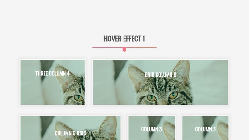 Image Gallery - 12 Image Hover Effects