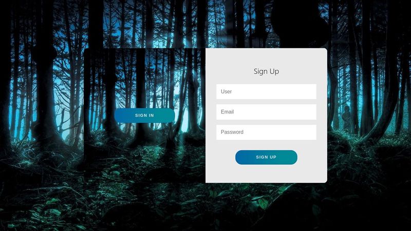 Slide Sign In/Sign Up form