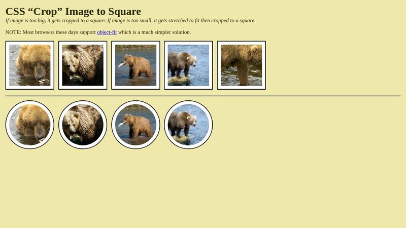 CSS Crop Image To Square Aspect Ratio css-crop-image-to-square-aspect-ratio