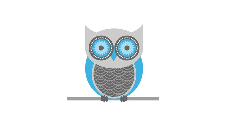 CSS Owl