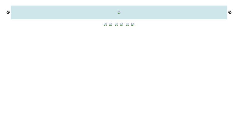 CodePen - Slick Slider Custom Navigation