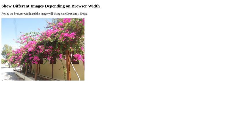 Web Layout Html Picture Element web-layout-html-picture-element
