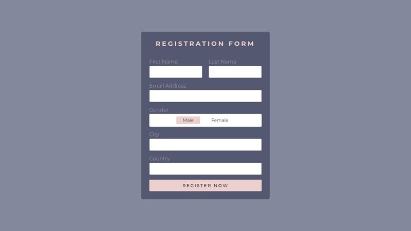 Registration Form In HTML and CSS