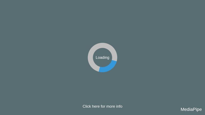 MediaPipe - Face Mesh - my pose Demo