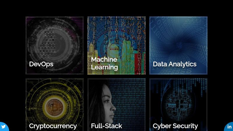 Hover Responsive Parallax Cards Made w/ Vue