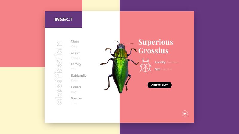 Pure CSS Bug ECommerce Interactions