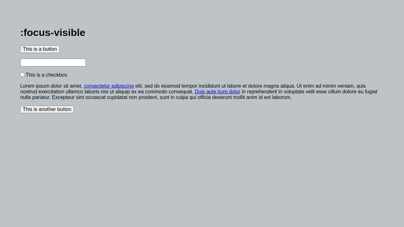 CSS focus visible CSS focus visible