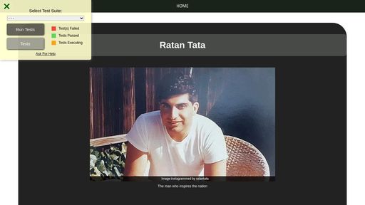 Img Responsive Resize Html Css The Freecodecamp Forum