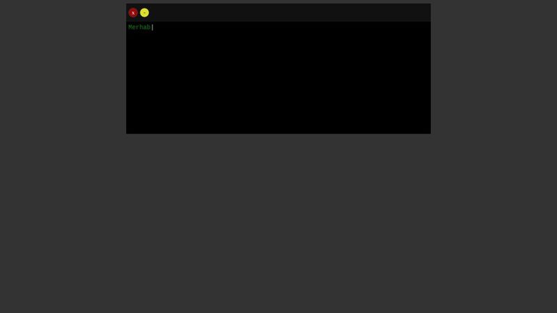 CodePen - jQuery Console Typer
