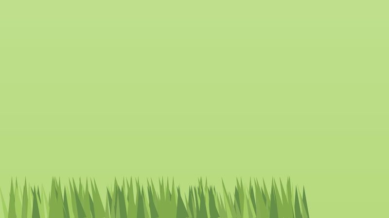 Random CSS grass animation