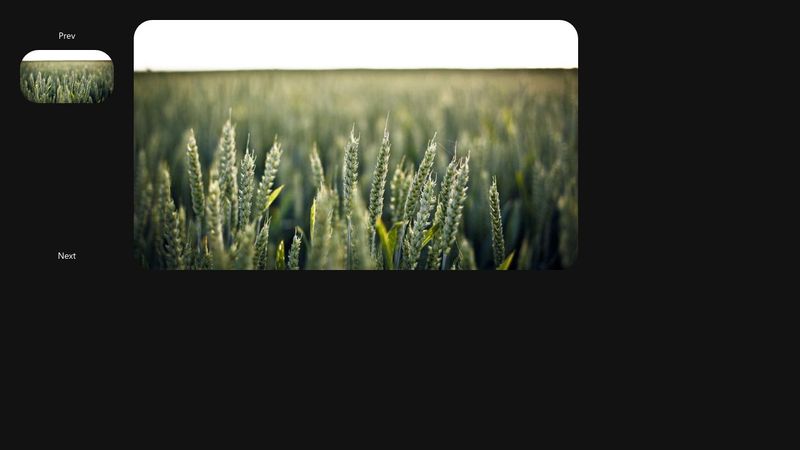 Vertical Swiper Slider with Thumbs