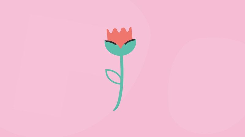 Pure CSS Flower