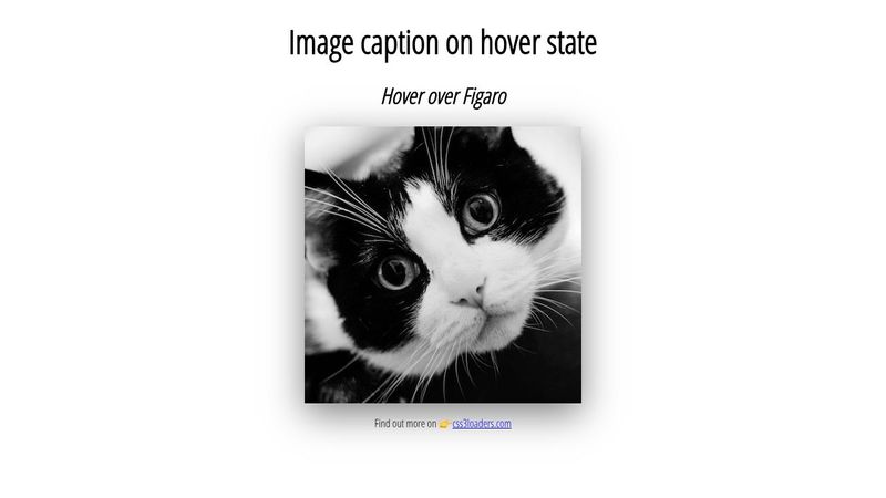 codepen-image-caption-on-hover-state