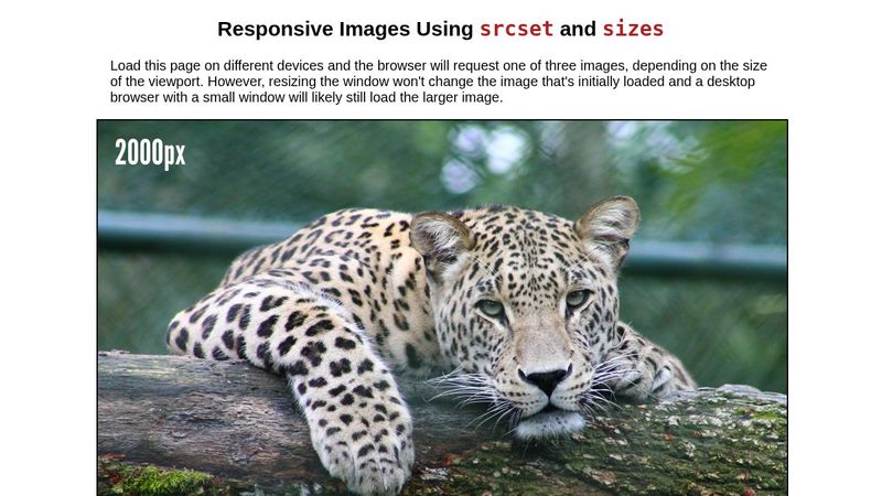 Responsive Images Using srcset and sizes