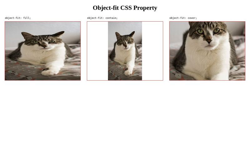 Object-Fit CSS Property Demo