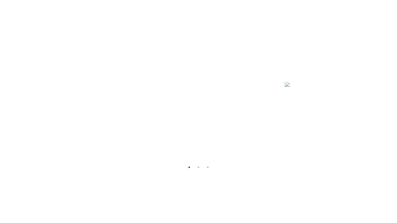 Slick slider with animate.css