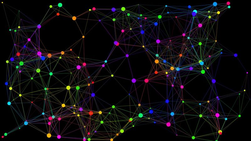 Particle network