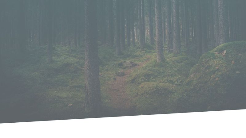 Animated Page Title With Diagonal Header Background Animated Page Title With Diagonal Header Background