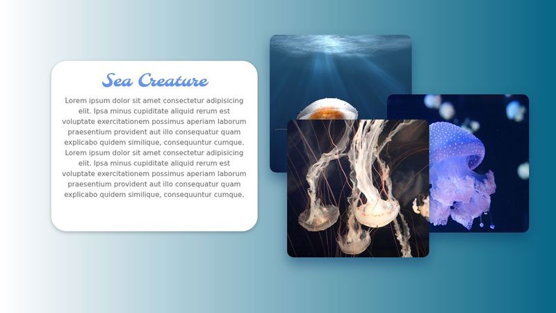 Overlapping Images - Bootstrap 5