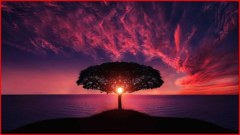 CSS Make Background Image Full Screen