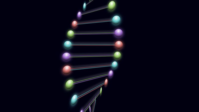DNA Using CSS