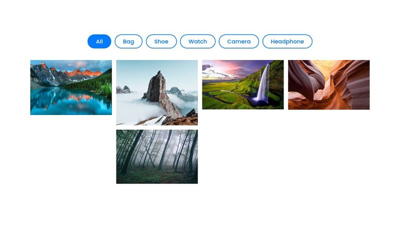 Responsive Filterable Image Gallery Using Html Css And Javascript