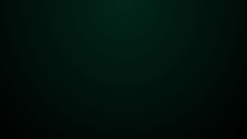 Animated Counter Slider