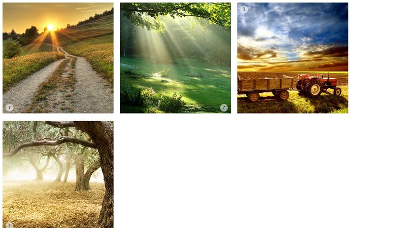 Understanding The Css Caption-side Property – peerdh.com