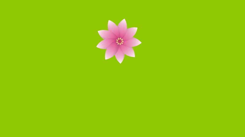 CSS3 Flower