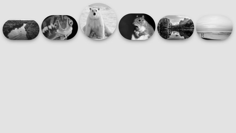 CSS Grayscale Filter