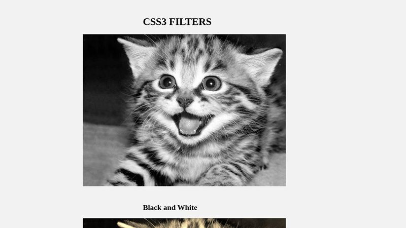 CSS3 Filters