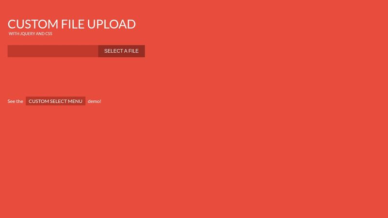 Custom FIle Upload