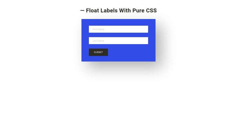 Float Labels - pure CSS