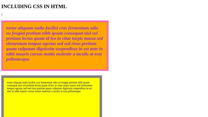 INTERNAL & EXTERNAL CSS