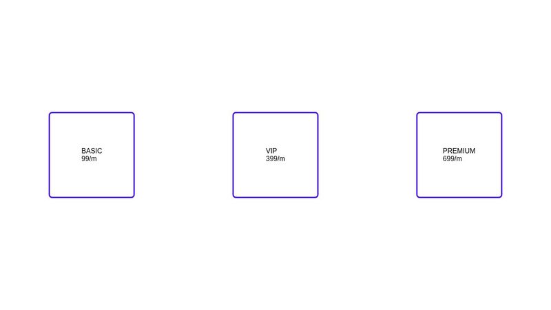 pure css radio button