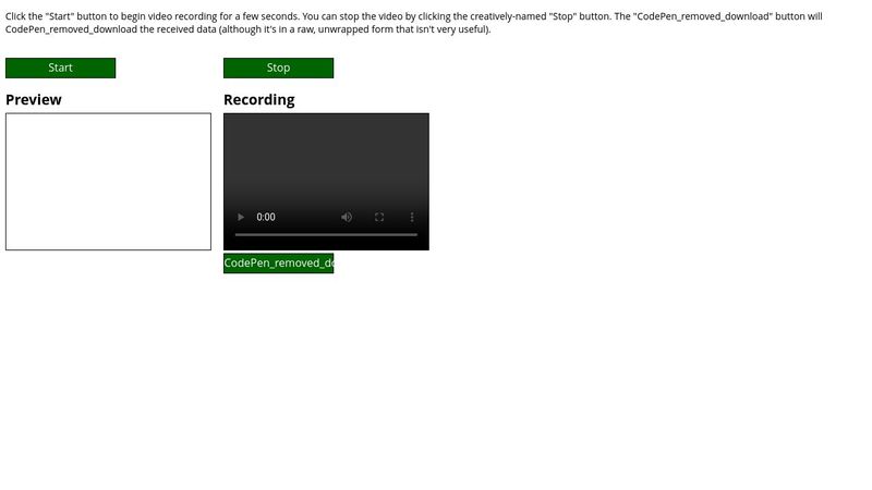 Using Screen Capture API