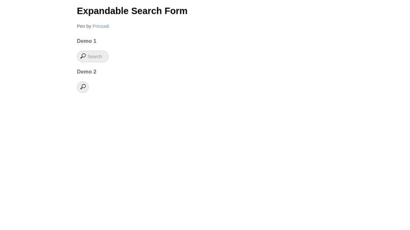 Expandable Search Form with CSS3