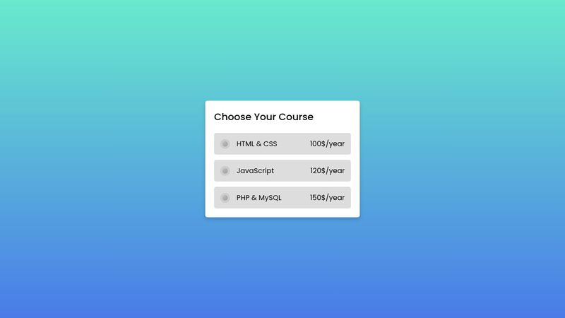Demo:Custom Radio Button