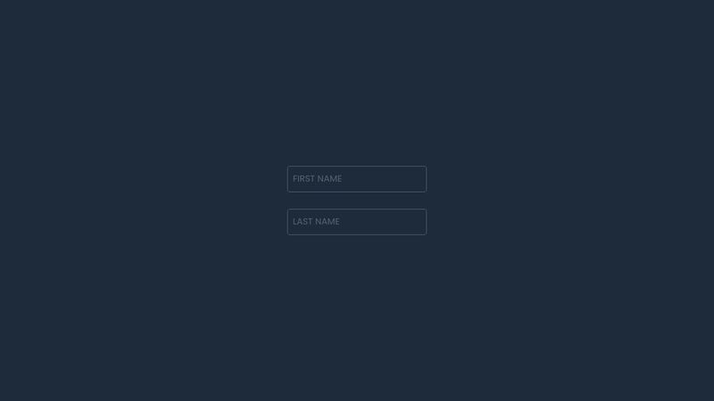Animated input fields