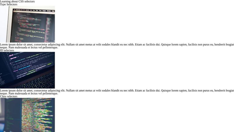 CSS Basics - 5.7. - Solution