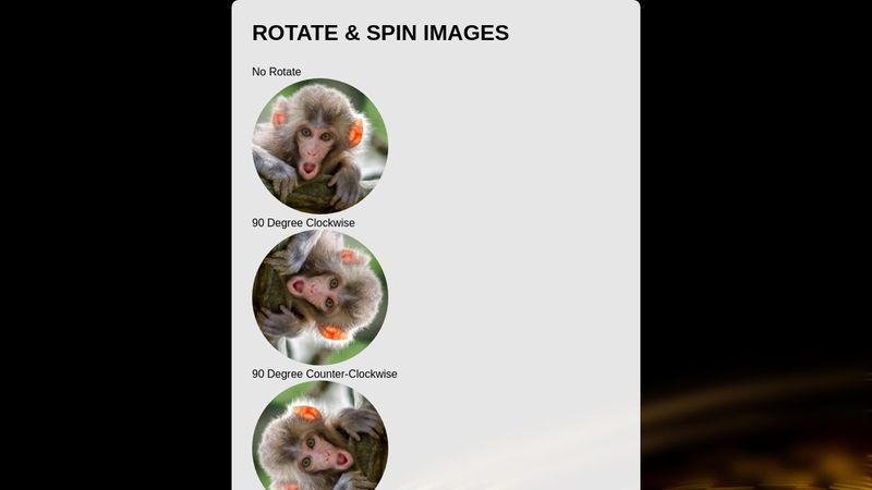 Rotate & Spin Images In HTML CSS