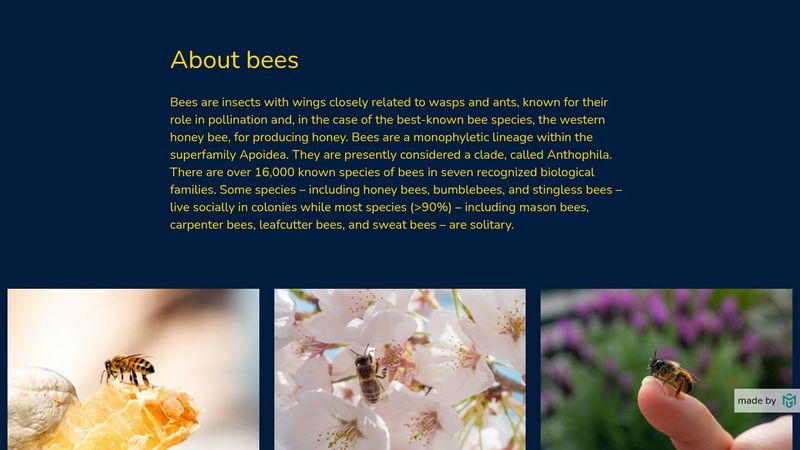 Cursor Hover Effect With Javascript Mouse Events And Gsap