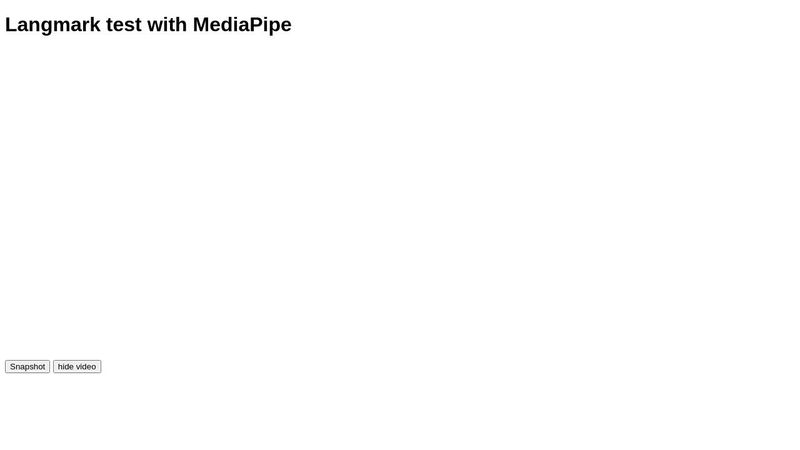 MediaPipe Handlandmark test