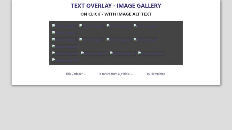 Image alt text overlay