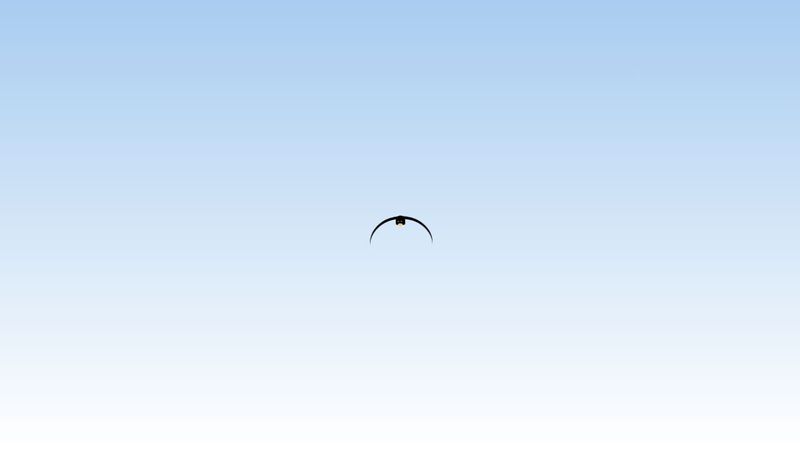 flying bird - css
