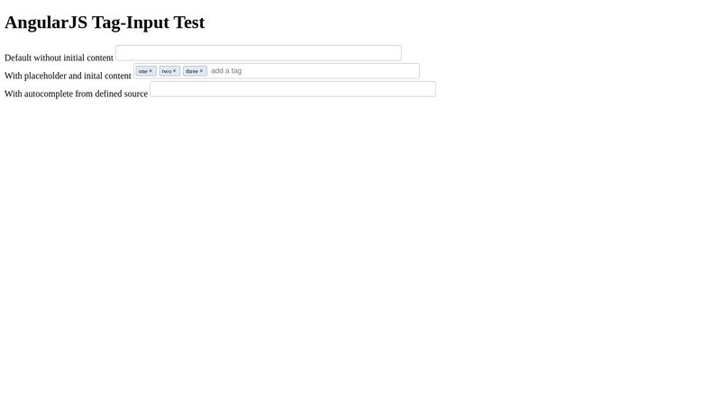 AngularJS Tag Input Field
