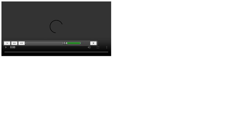 HTML5 Custom Video Controls