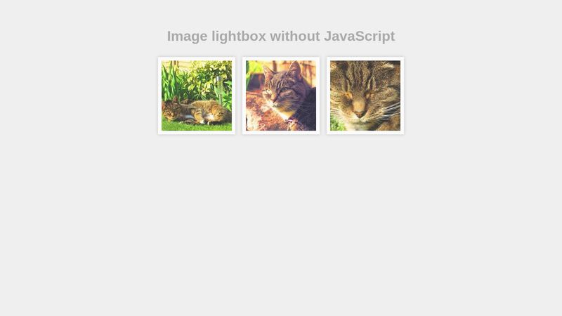 Image lightbox without JavaScript